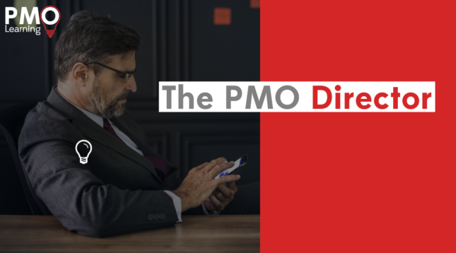 What is a PMO Director? - PMO Learning