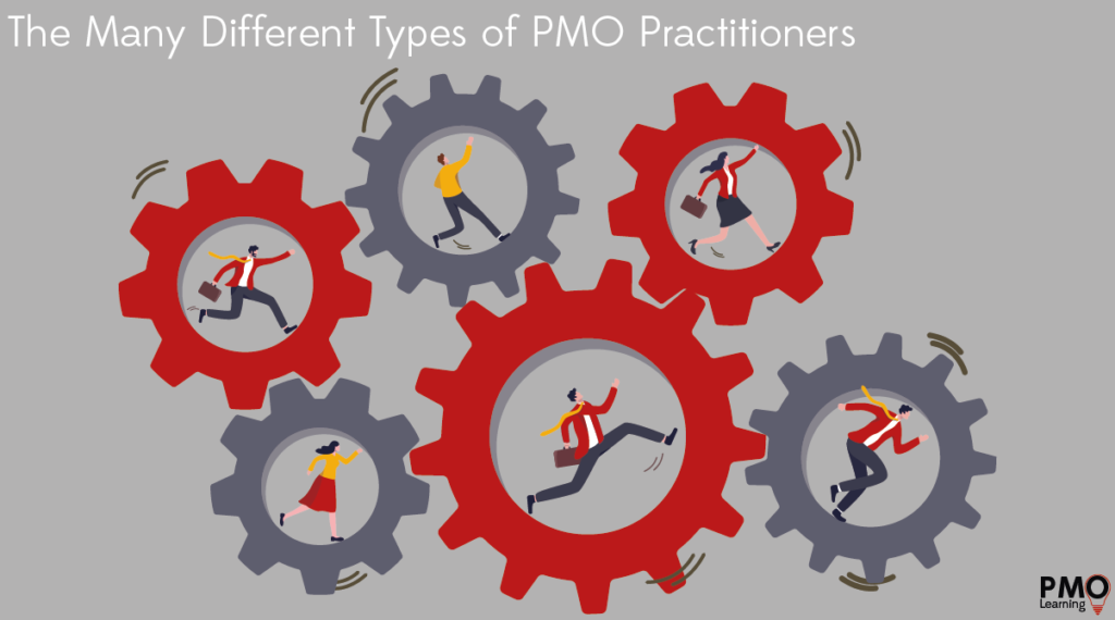 The Many Different Types of PMO Practitioners - PMO Learning