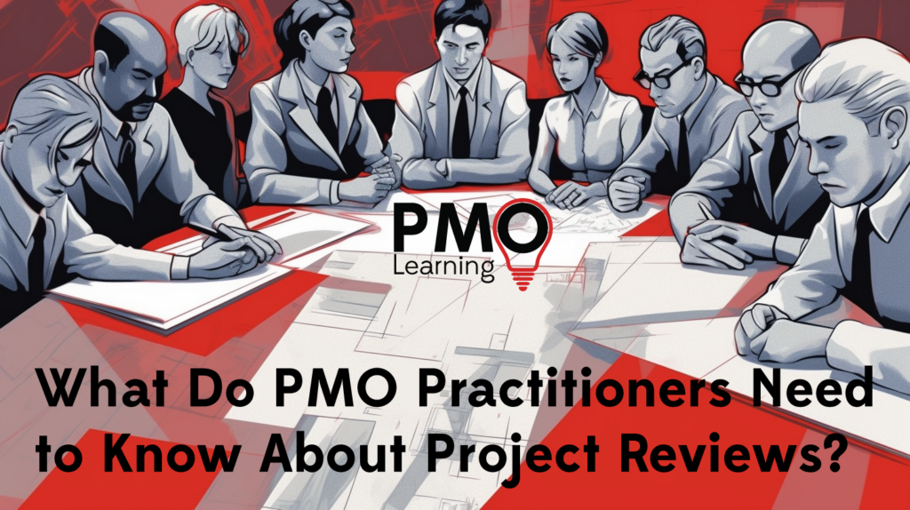PMO Analyst, PMO Lead, PMO Manager - What's the Difference? - PMO Learning