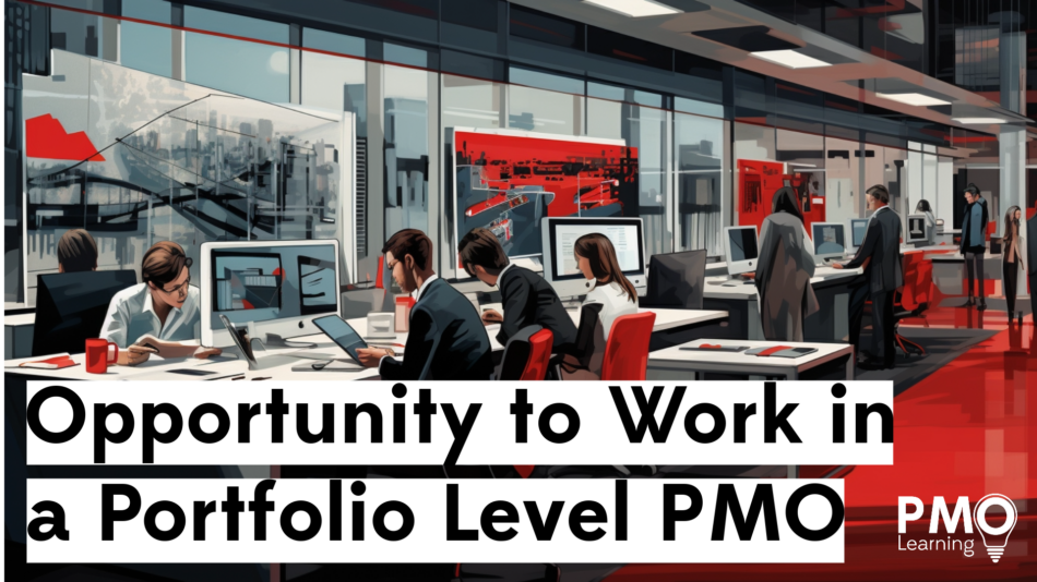 PMO Analyst, PMO Lead, PMO Manager - What's the Difference? - PMO Learning