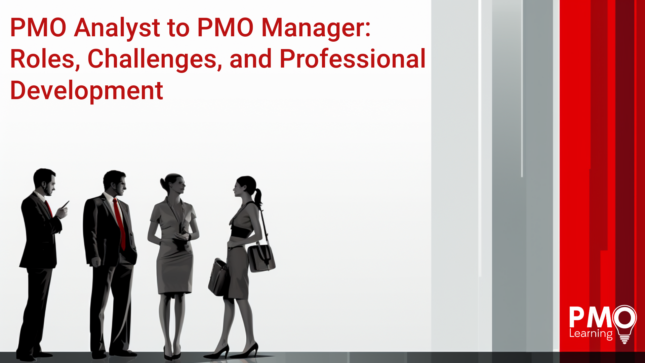 PMO Analyst to PMO Manager: Roles, Challenges, and Professional ...