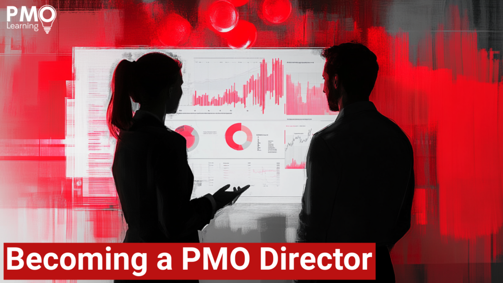 Becoming a PMO Director - PMO Learning Becoming a PMO Director - PMO Learning